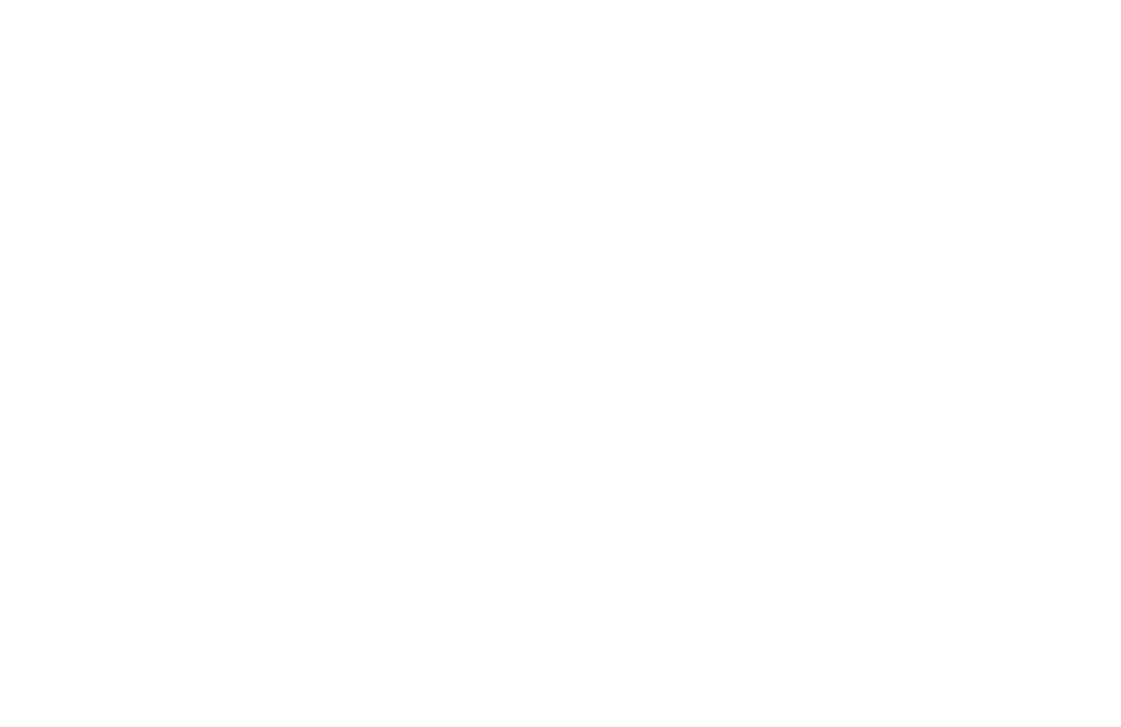 Febres 360°